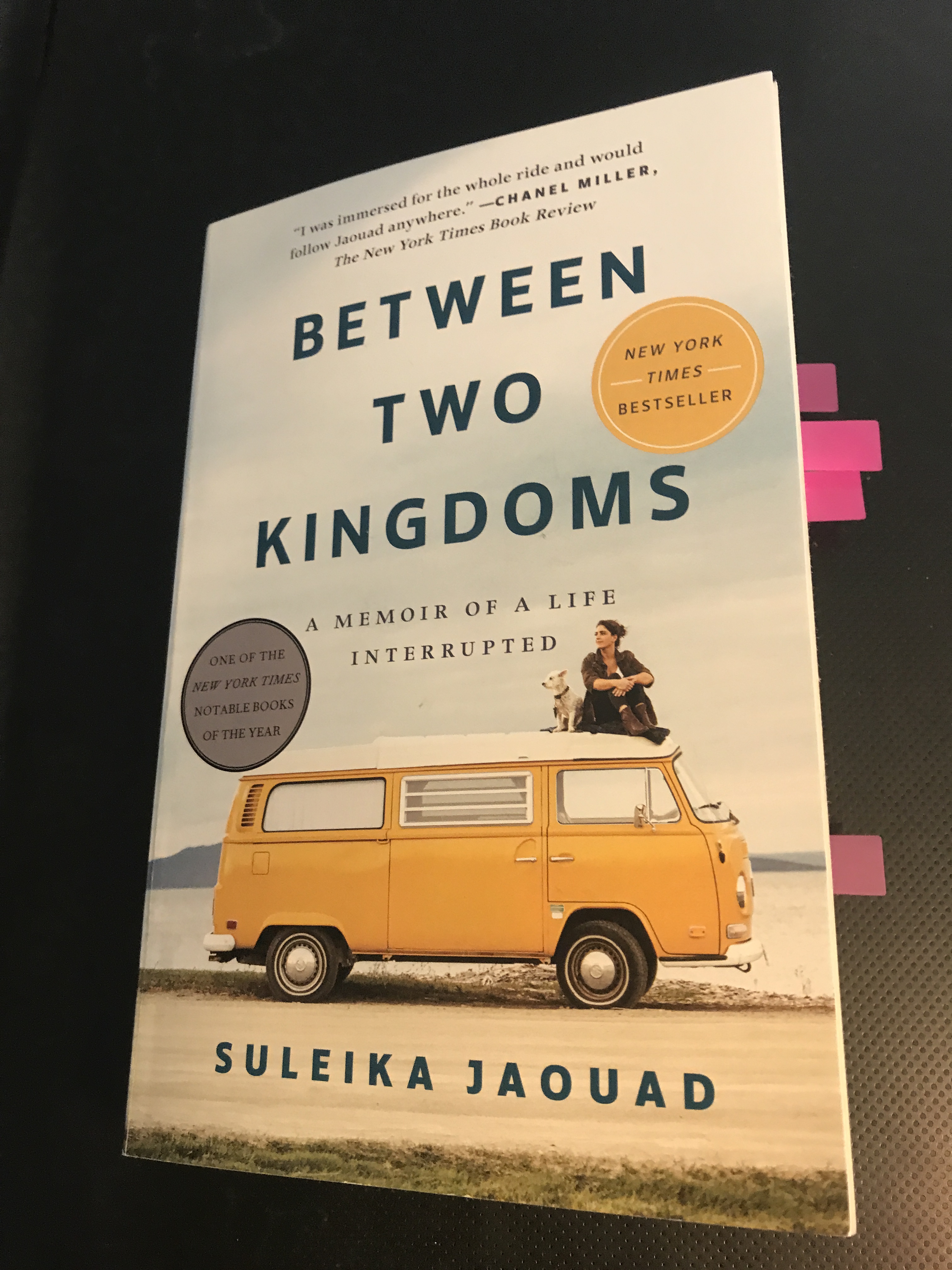 Book Report: Between Two Kingdoms, A Memoir of a Life Interrupted by ...