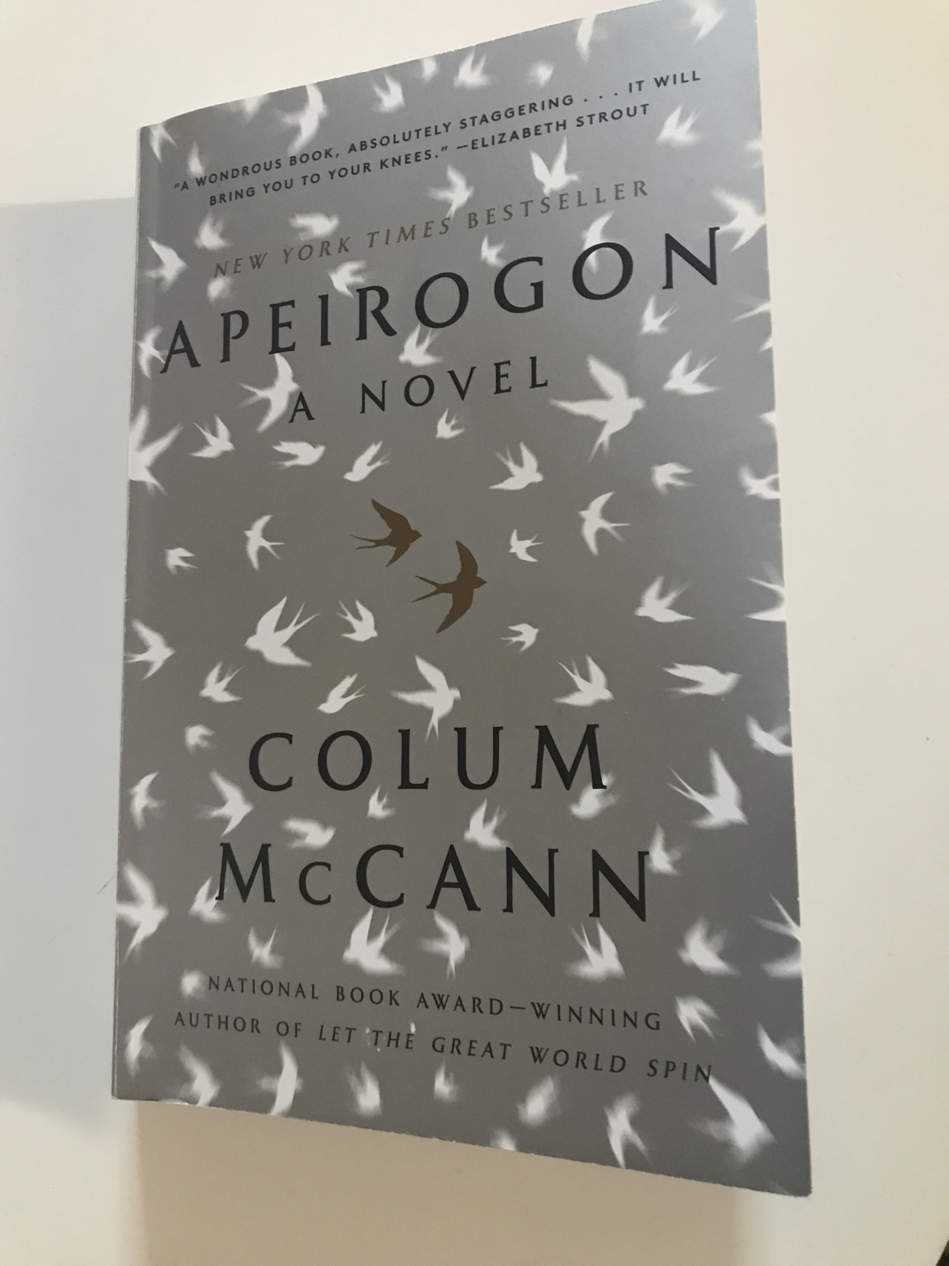 Book Report: Apeirogon by Calum McCann | Living on Life's Labyrinth