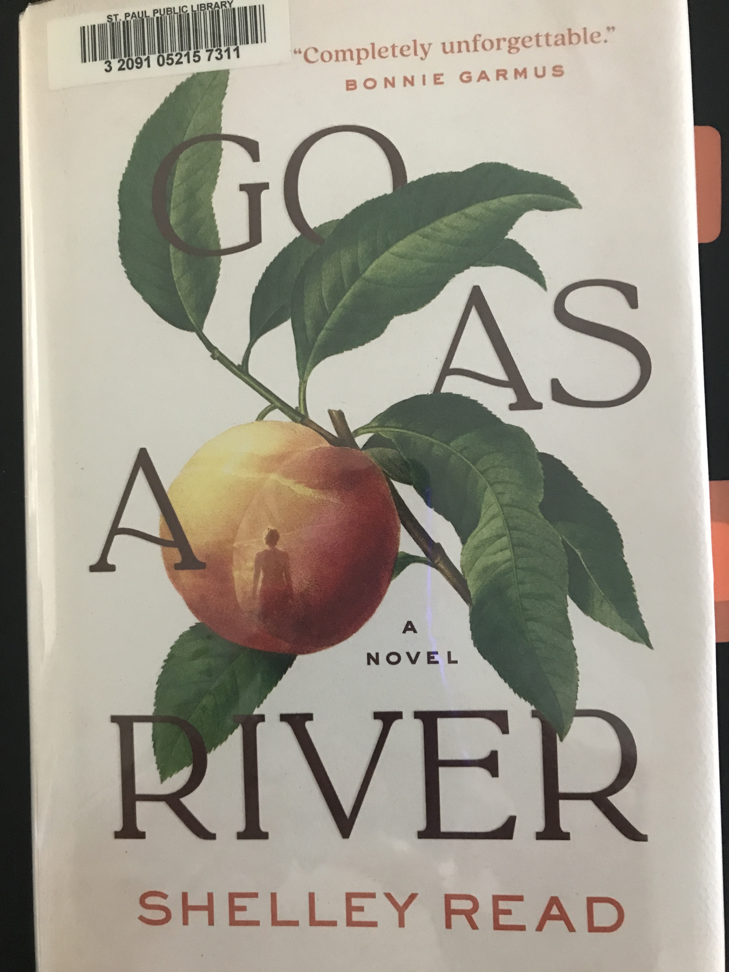 Two Notable Novels: Go As A River by Shelley Read and Happiness Falls ...