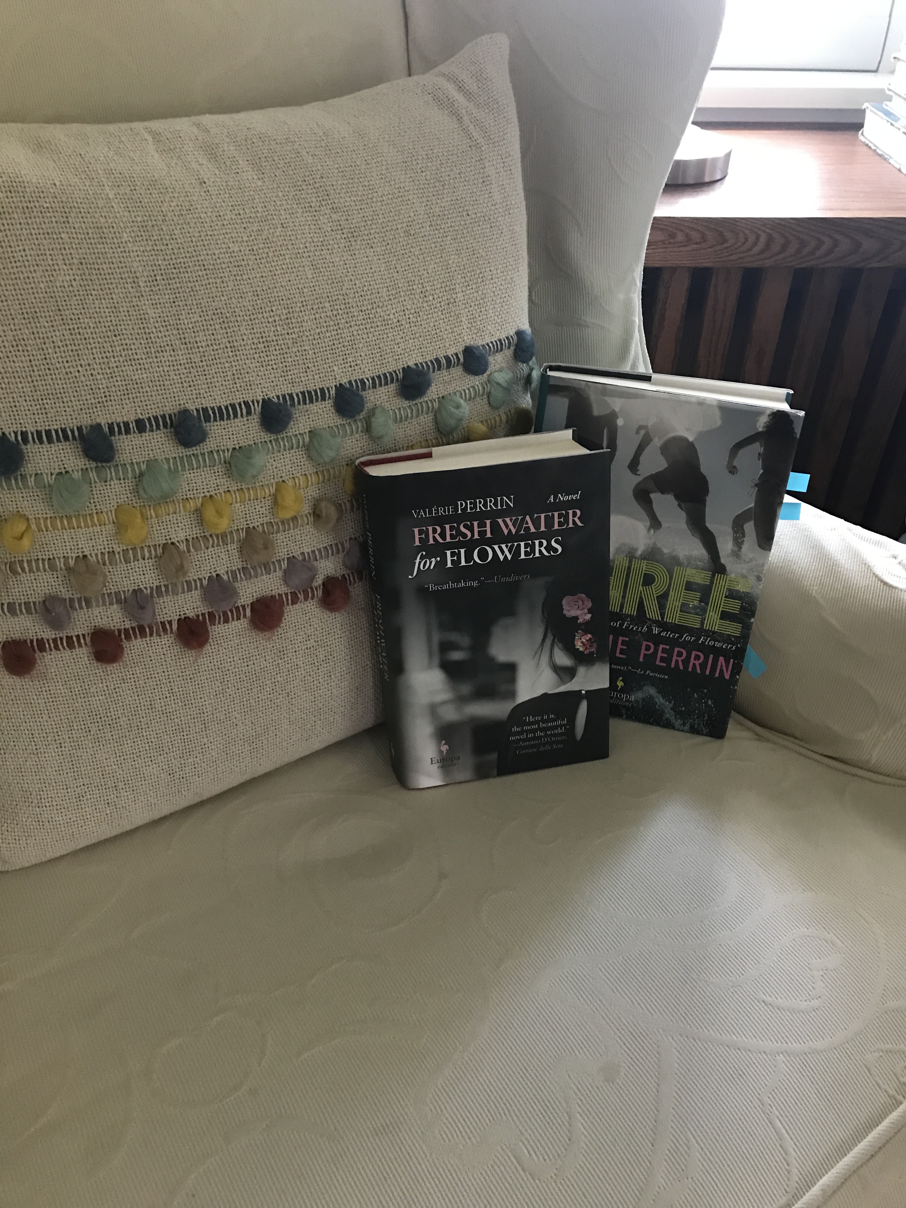 Book Report: Two Novels by Favorite Authors | Living on Life's Labyrinth